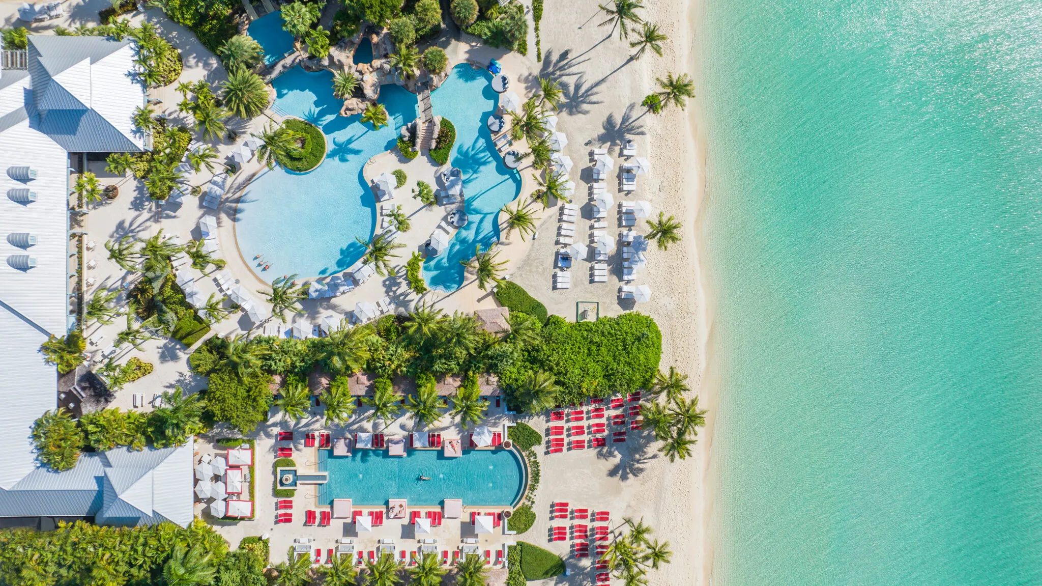 Activities, Dining and Amenities | Albany Bahamas